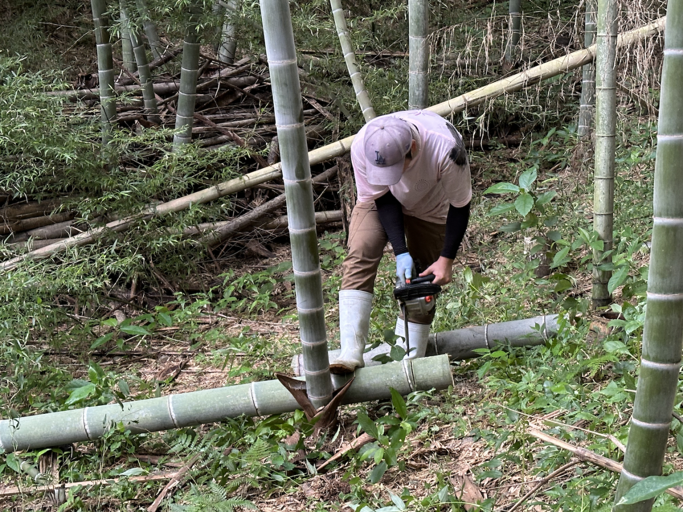 熊本のヤマチクさんへ – Kai Kaori｜ 甲斐かおり